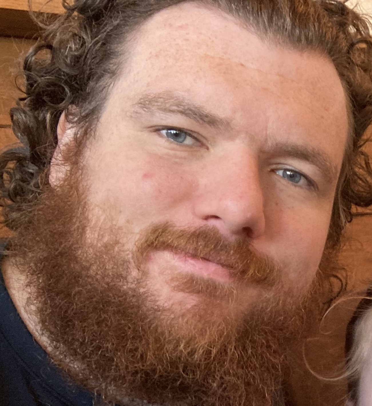 Daniel Norman - Software Engineer